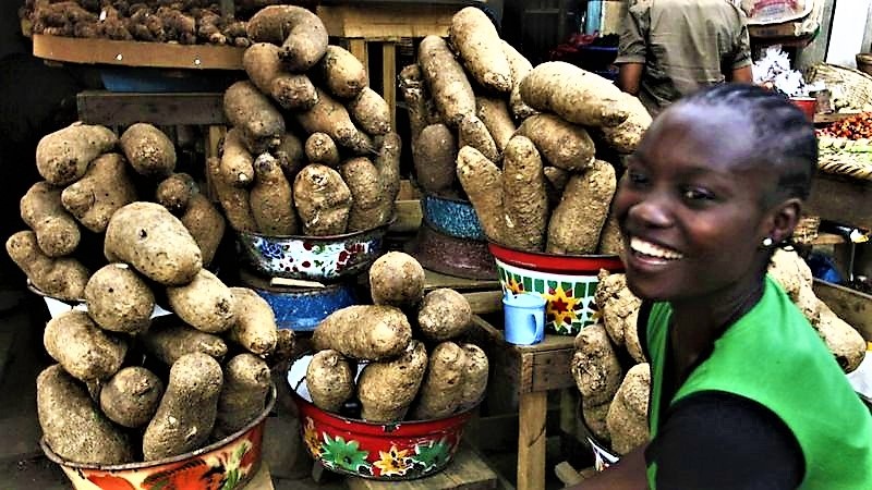 සුපිරි ආහාරයක් බවට පත් වූ ගමේ කෑම ‘වැල් අල’ ගැන දැනගත යුතුම කතා - Read ...